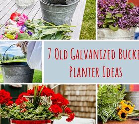 7 Old Galvanized Bucket Planter Ideas | Redesign
