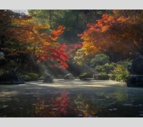 Wabi Sabi and Japandi: Creating Warm & Natural Spaces | Redesign