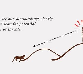 How to Design Spaces With Prospect-Refuge Theory | Redesign