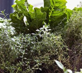 Why I’m Done With Mums (And What I’m Planting Instead This Fall) | Redesign