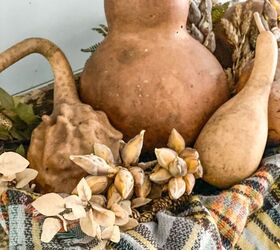 5 Beautiful Ways to Use Dried Gourds for Fall Decor | Redesign