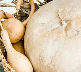 5 Beautiful Ways to Use Dried Gourds for Fall Decor | Redesign