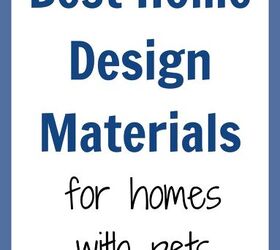 Best Design Options For Homes With Pets | Redesign