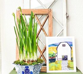 Low-Scent Paperwhite Varieties | Redesign