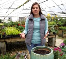 How to Create a Beautiful Winter Container Garden | Redesign