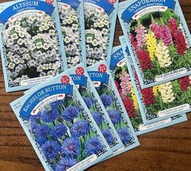Winter Sowing Perennials: Cold-Hardy Flowers That Come Back Every Year ...