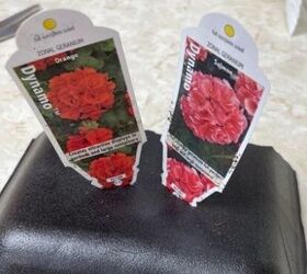 How to Use Bedding Plants for Instant Spring Color | Redesign