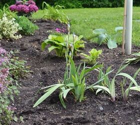 Flower Bed Ideas Anyone Can Try | Redesign