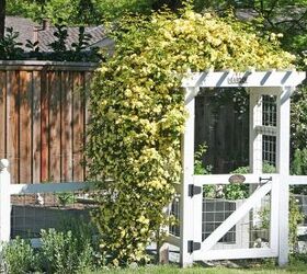 Landscape Projects You Can DIY for Your Own Yard | Redesign